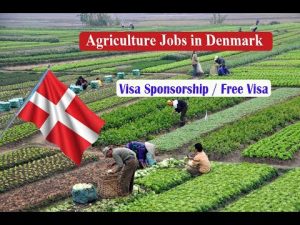 Best 500+ Agriculture jobs in Denmark for foreigners